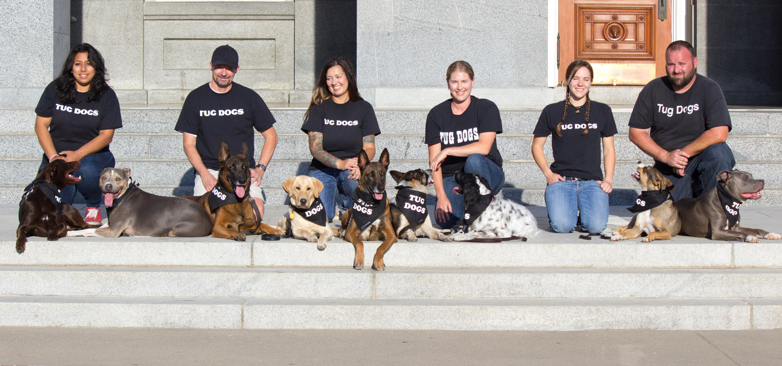 Tug Dogs – Teach Train Tug – Professional Dog Training Academy